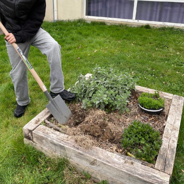 Eco-délégués : De nouvelles plantations - Collège Pierre-Olivier Malherbe